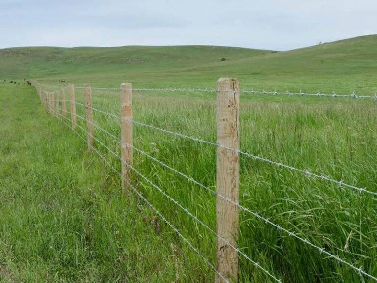 Wire Fencing – Rivers Edge Ranch